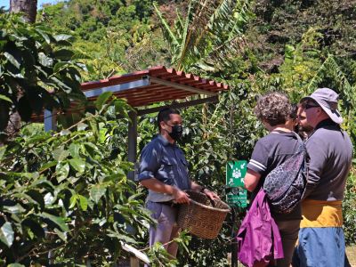 El Trapiche Tour | El Trapiche Tour